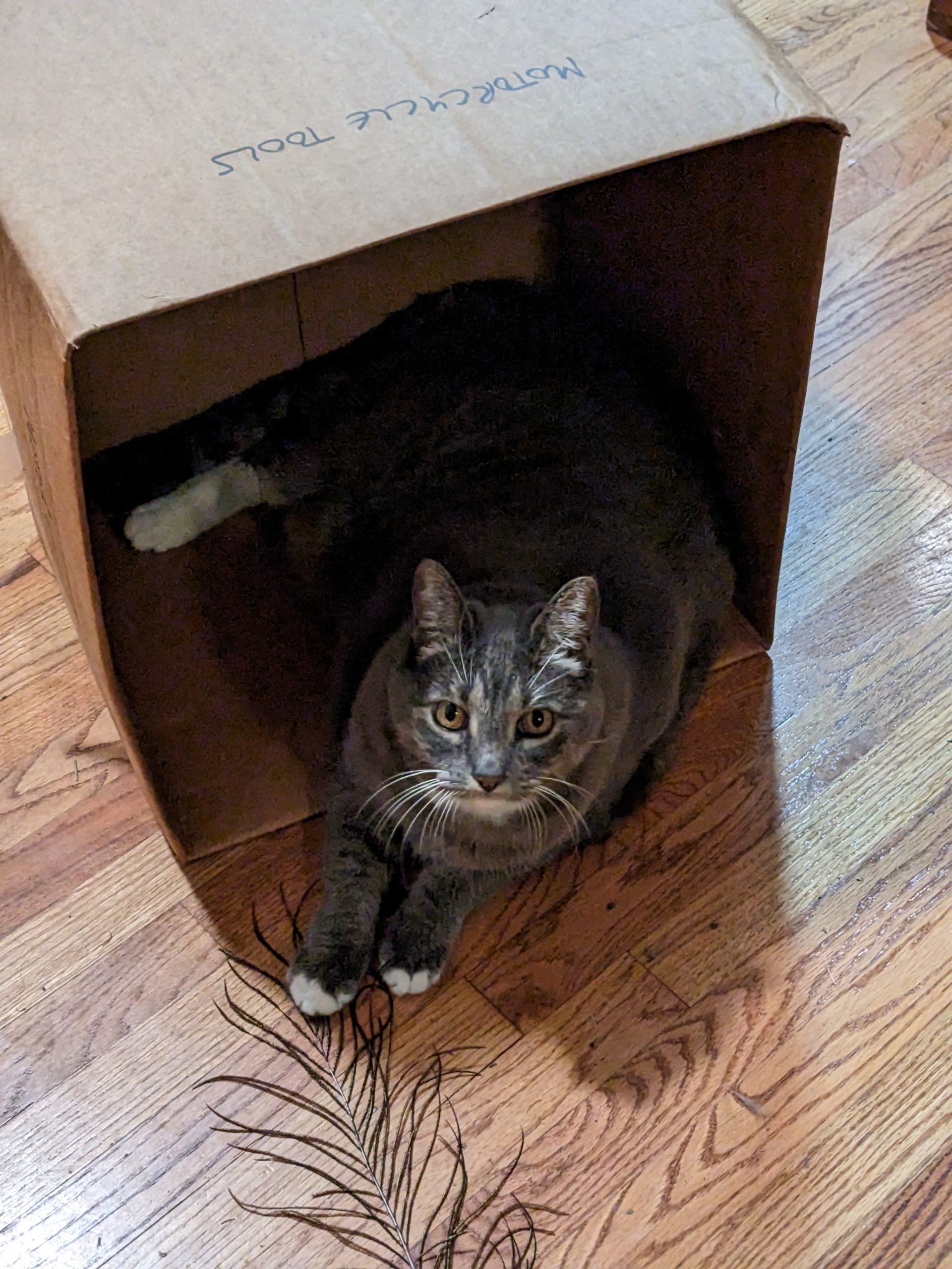 Blog - Motorcycle Suspension - Lindemann Engineering